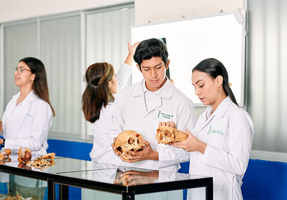 UNICA | Universidad Católica Redemptoris Mater